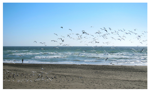 General-GPT: Breaking the Modality Constraint | LAION