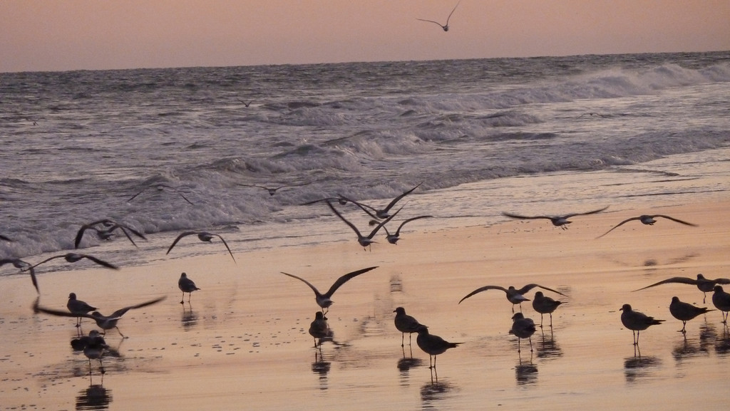 General-GPT: Breaking the Modality Constraint | LAION